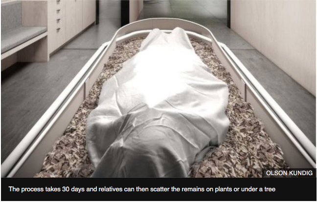 Le compost humain est "meilleur pour l'environnement" - RAEL.ORG