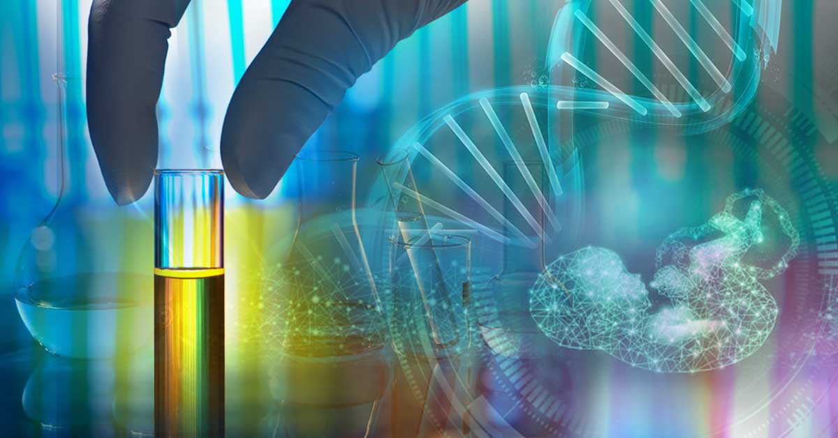 Celebration of the Creation of the First Humans on Earth - RAEL.ORG