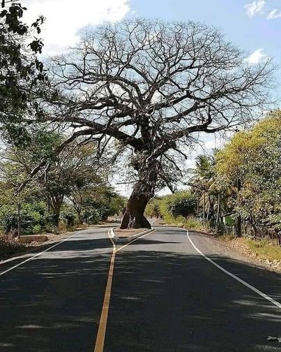 The beauty of Japan! - RAEL.ORG