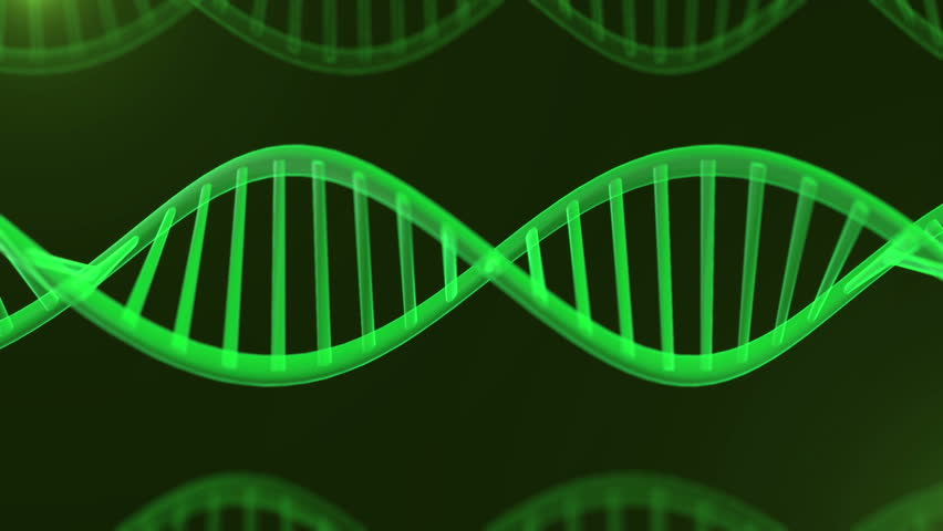 New Science: DNA begins as a quantum wave - RAEL.ORG
