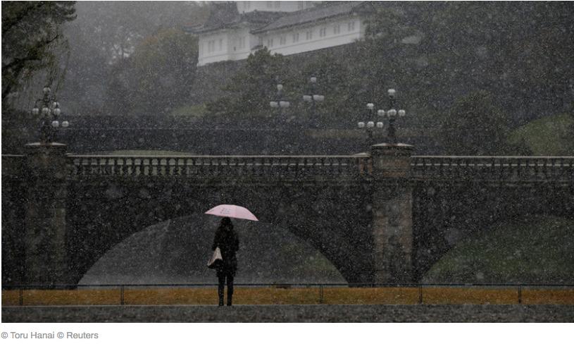 Tokyo stunned by first November snow in 54 years - RAEL.ORG
